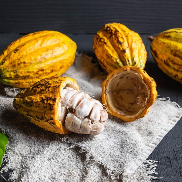 Premium Single Origin Cacao – Flèche Healthy Treats